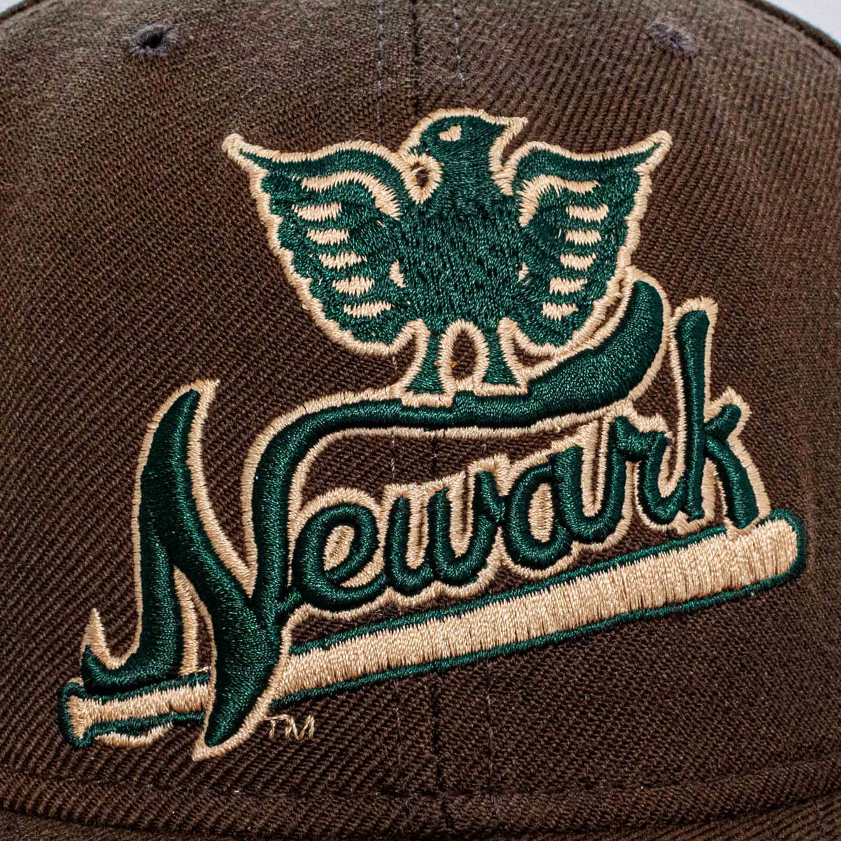 Newark Eagles Negro Leagues New Era Fitted Hat– VNTG Shop
